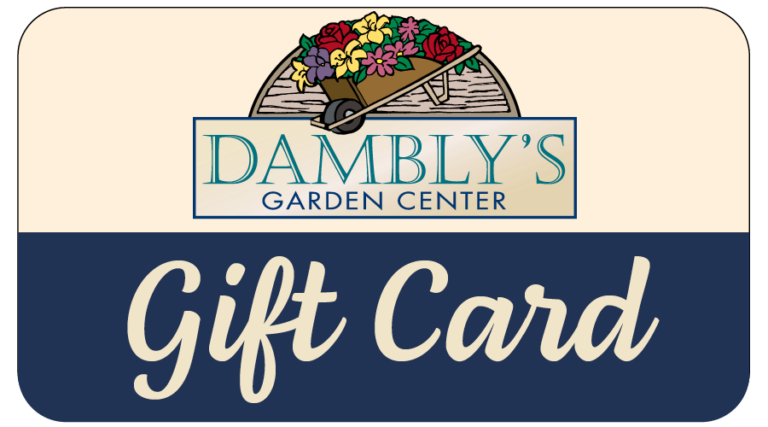 Home - Dambly's Garden Center