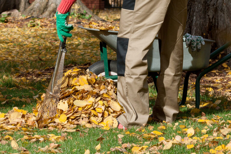 Preparing Your Lawn for Spring. - Dambly's Garden Center